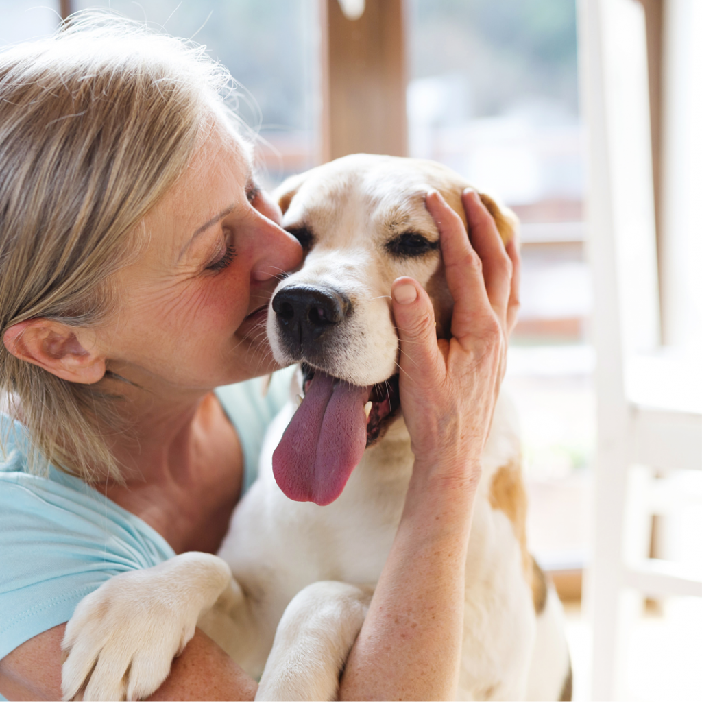 Help Your Dog Live Longer After Cancer Diagnosis - Dr. Loudon